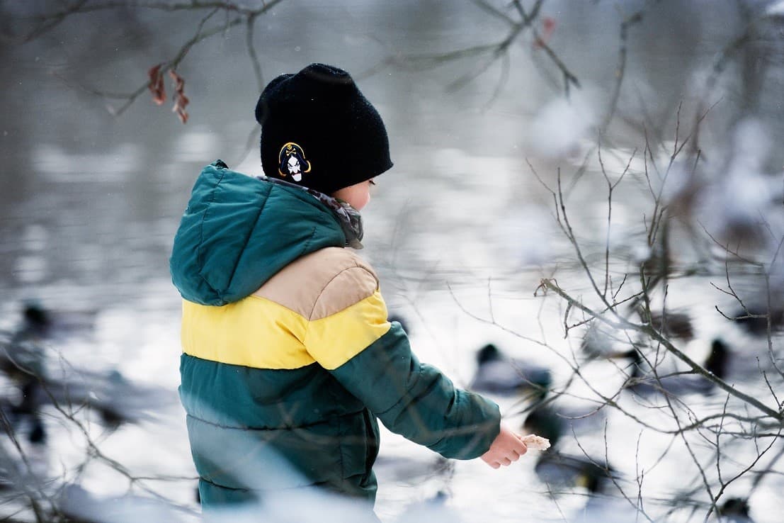 Omsorgsovertakelse | Bufdir